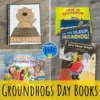 Engaging Groundhog Day Activity For Toddler and Preschool Classrooms ...