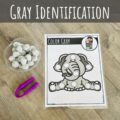 10 Engaging Gray Color Activities for Toddlers and 2-Year-Olds: Fun Learning Ideas - ClubbhouseKids