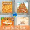 Vibrant Orange: Fun and Educational Orange Activities for Preschoolers ...